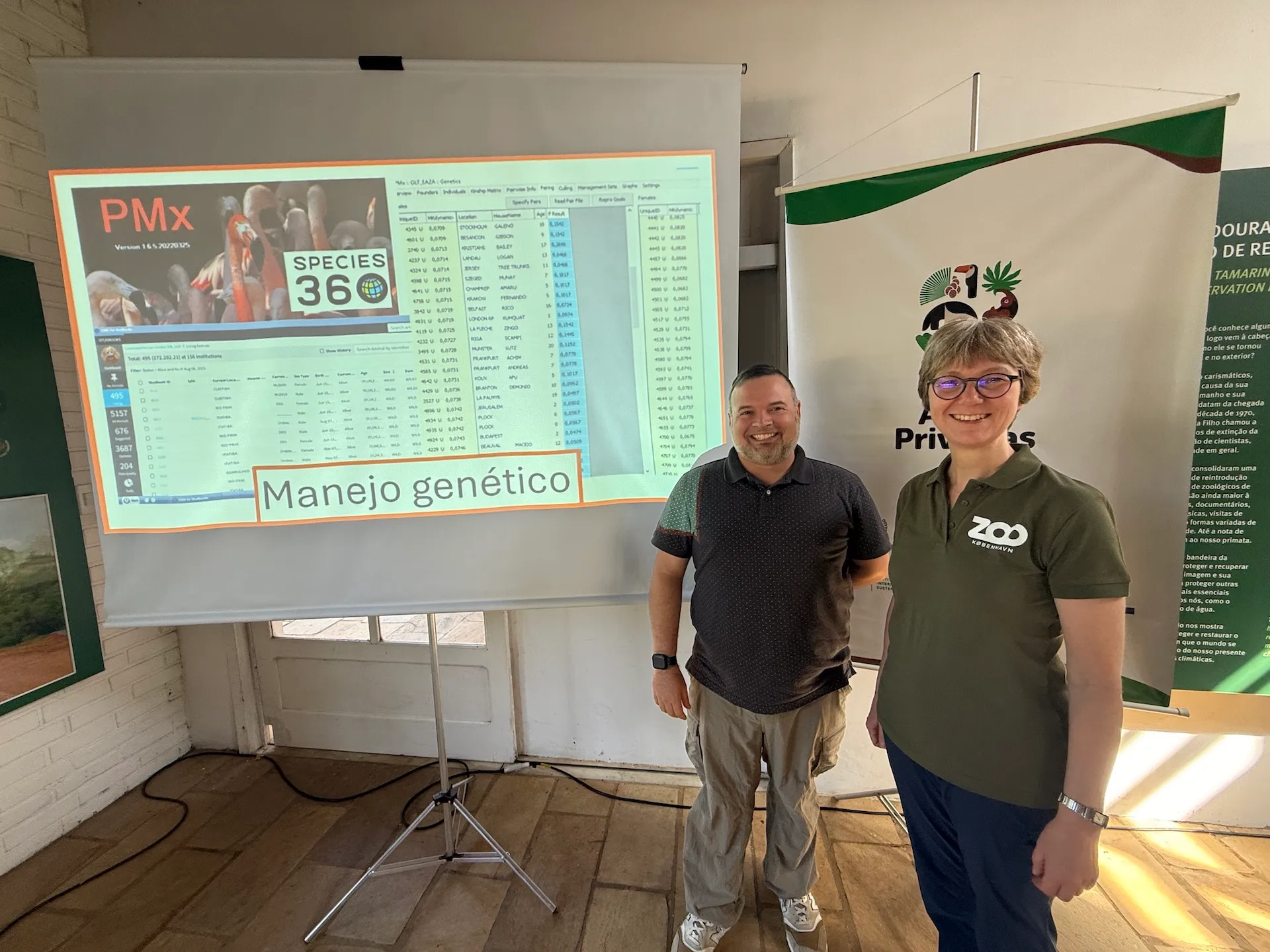 Back to the wild: Golden Lion Tamarins triumph over international ...