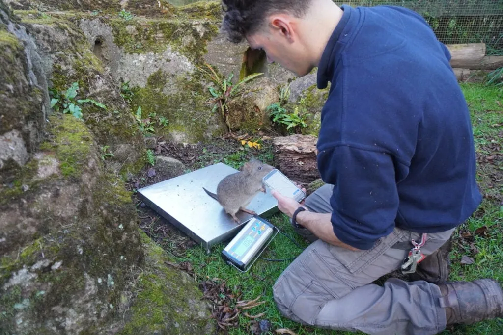 New in ZIMS: Mobile Clinical Notes in ZIMS for Medical - Species360