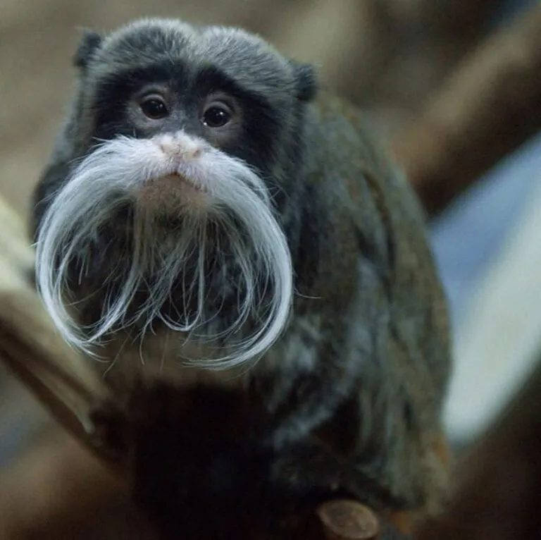 ZIMS for Aquatics - Species360